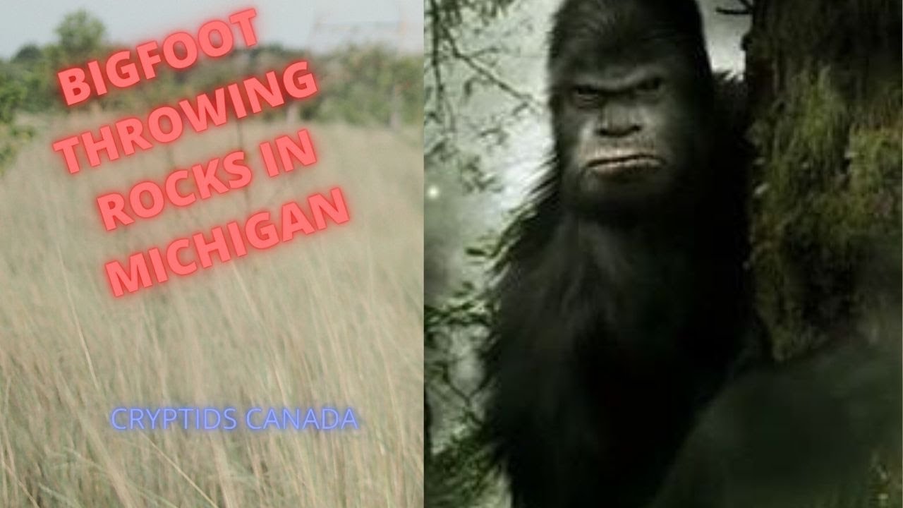 EPISODE 141 BIGFOOT THROWING ROCKS IN MICHIGAN (CORRECTION) - YouTube