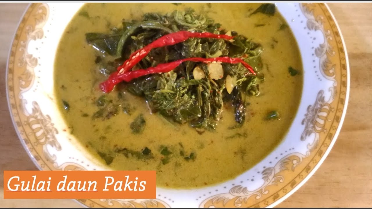 Gulai Daun Pakis | Resep Sedap - YouTube