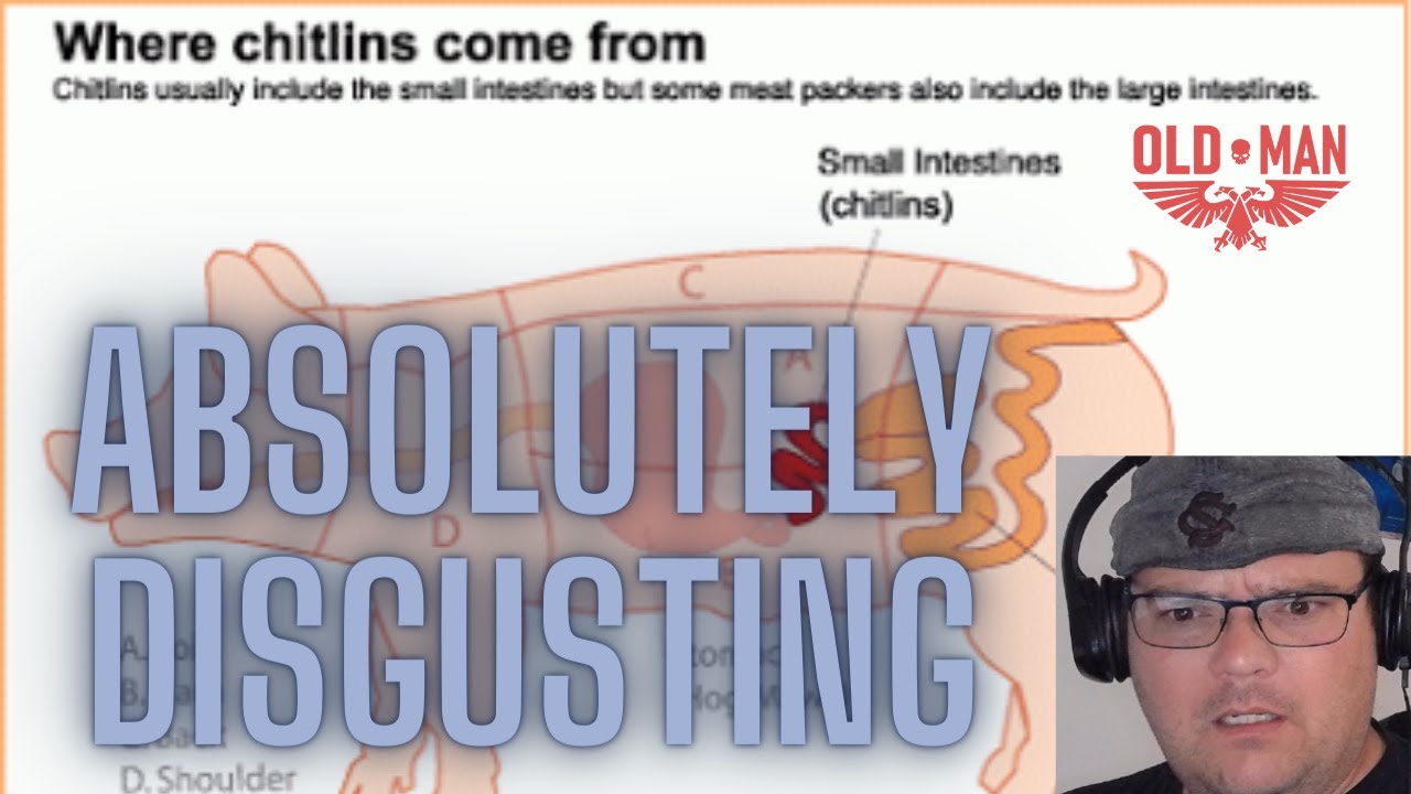 SCP-4495 │ A God for Pigs by TheVolgun - Reaction - YouTube