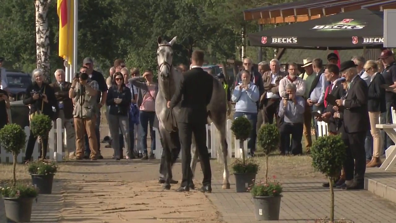 Sunday Horse Inspection - 2018 - YouTube
