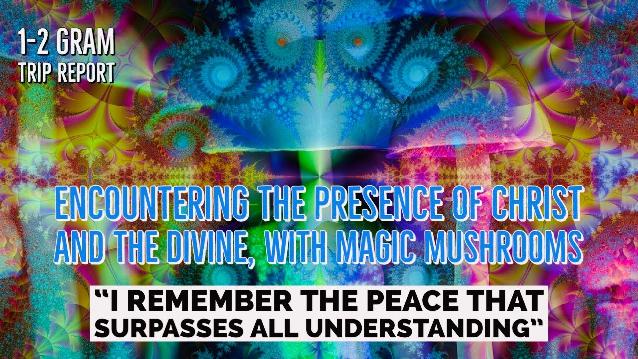The Medicine Plants:Psilocybin Trip Report-Encountering Christ and the ...