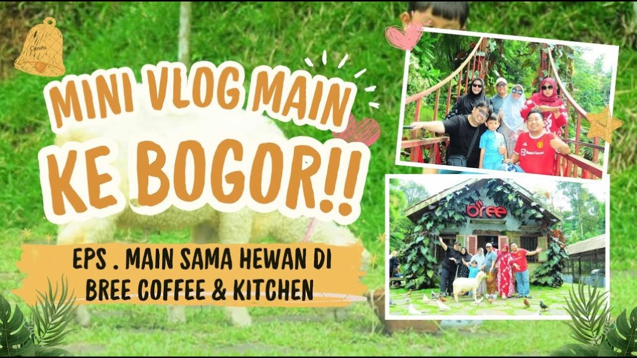 ADA MINI ZOO KIDS FRIENDLY DI BREE CAFE BOGOR?? - YouTube