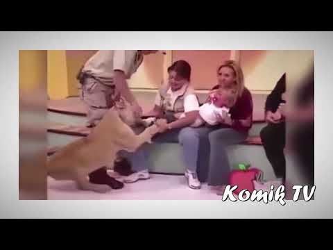 En Komik Canlı Yayın Kazaları  Fail Videoları