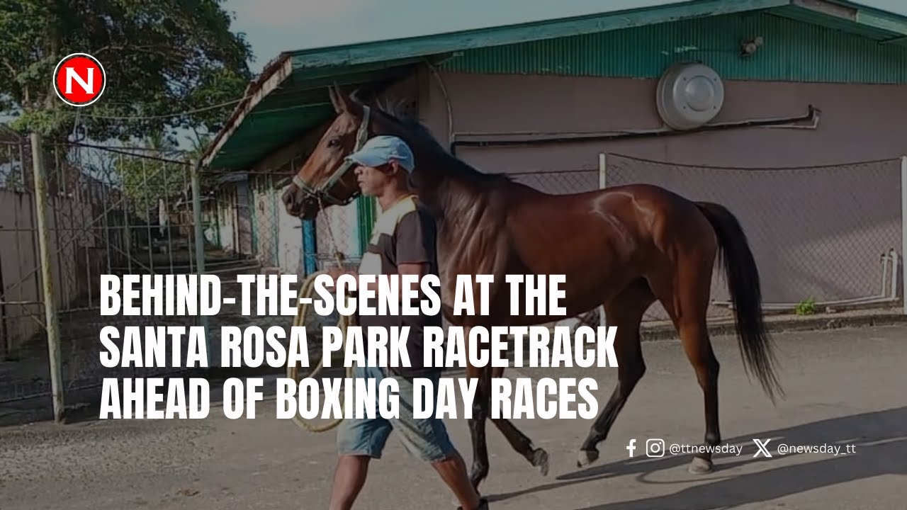 Behind-the-scenes at the Santa Rosa Park Racetrack ahead of Boxing Day ...