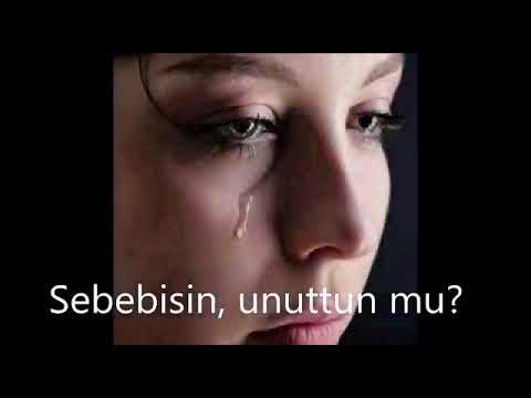 SÖZ:Hüsnü  Özdilek/Müzik:Ertuğrul DOĞAN (SEBEBİSİN UNUTTUNMU)