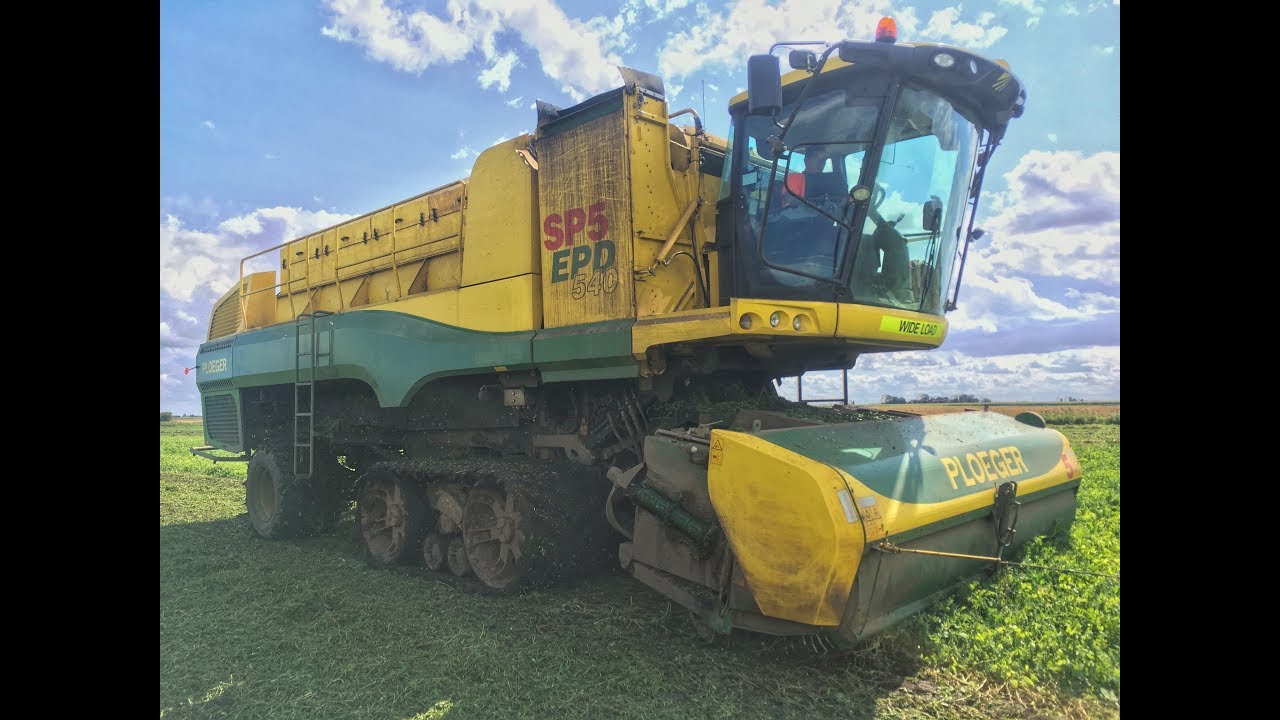 What Comes Out The Back Of A Pea Viner? - YouTube