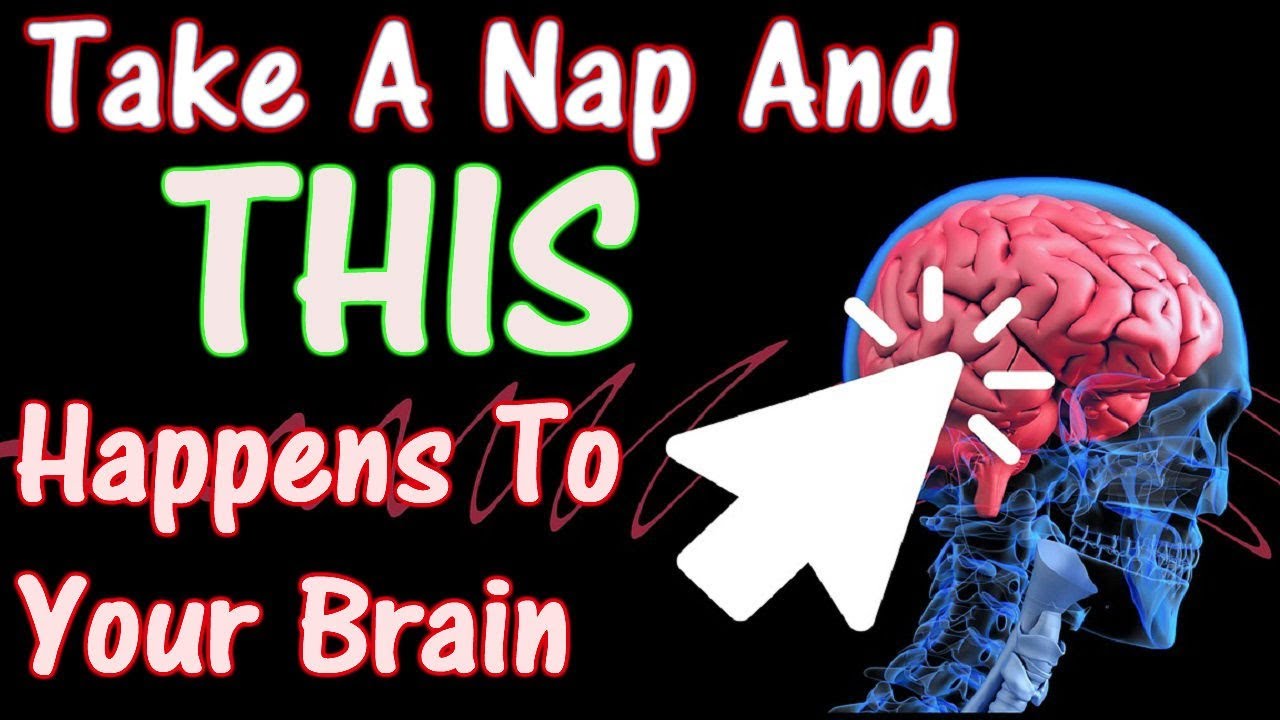 Take A Nap And THIS Happens To Your Brain How To Improve Brain Power take-a-nap-and-this-happens-to-your-brain-how-to-improve-brain-power