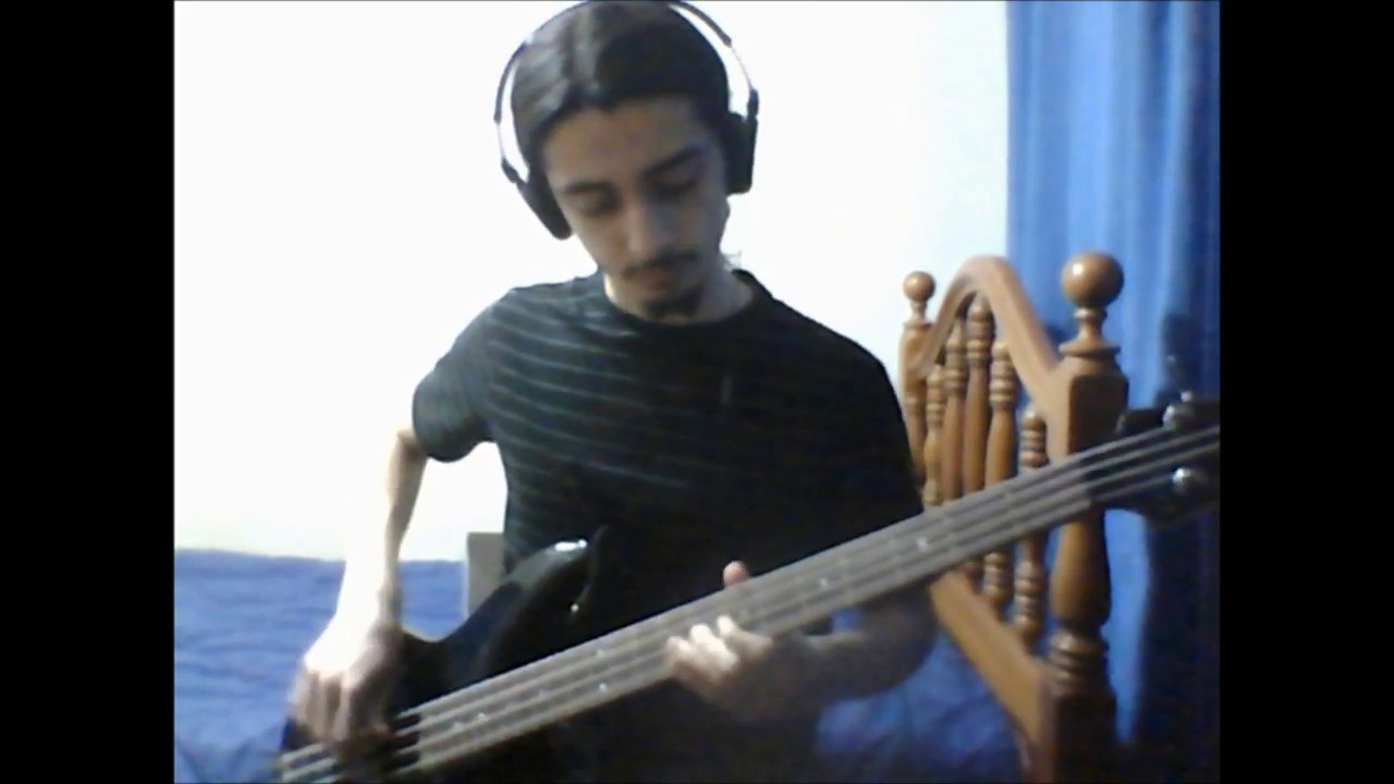 Lisa The Painful - Blood simmer bass cover - YouTube