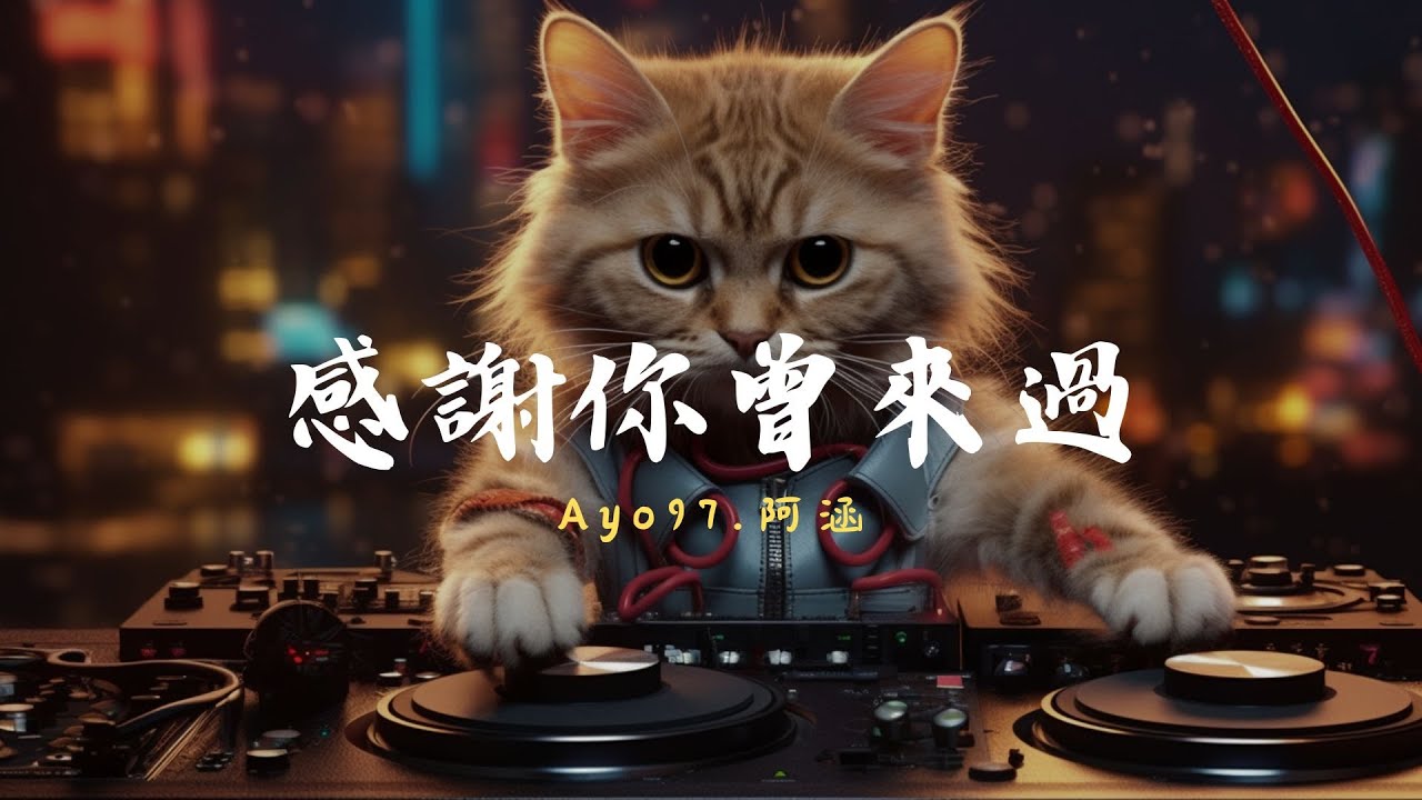 Ayo97 - 感謝你曾來過 ft.阿涵, 我只能离开 - 顏人中, 司南 - 冬眠『你聽啊秋末的落葉，你聽它「高音質 x 動態歌詞 ...