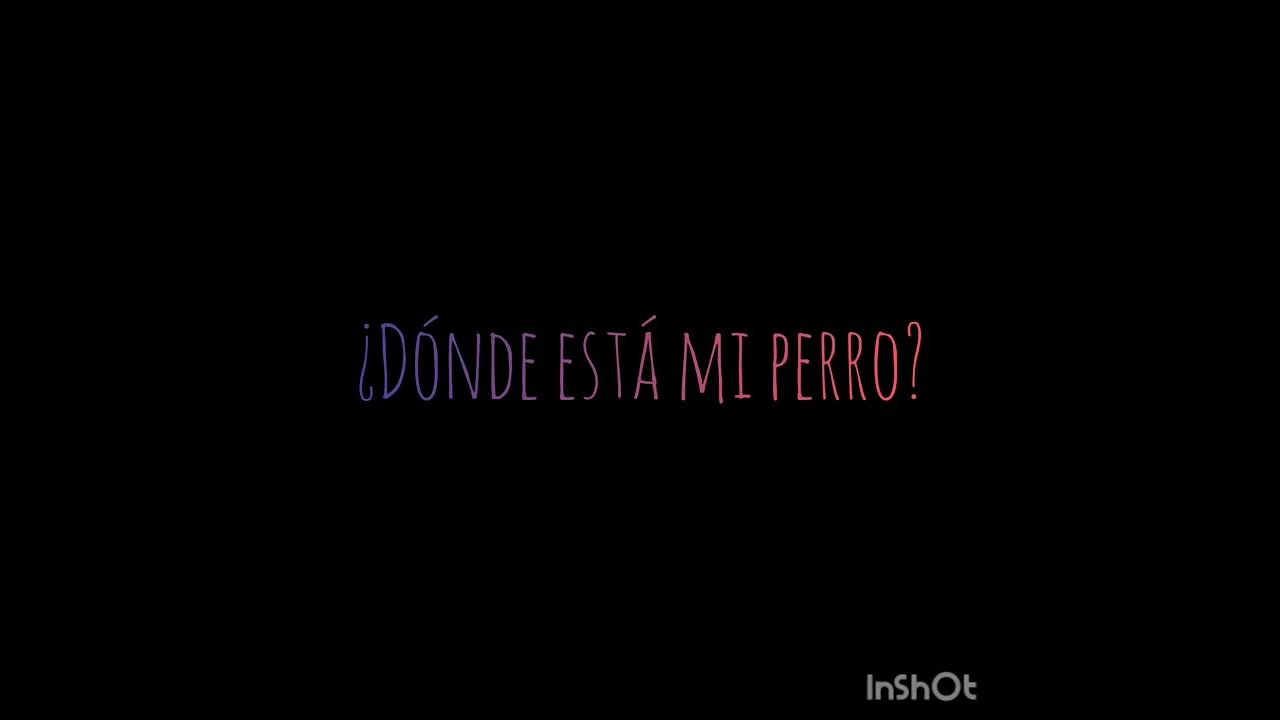 ¿Dónde está mi perro? (especial de Halloween)😨😱👻 - YouTube