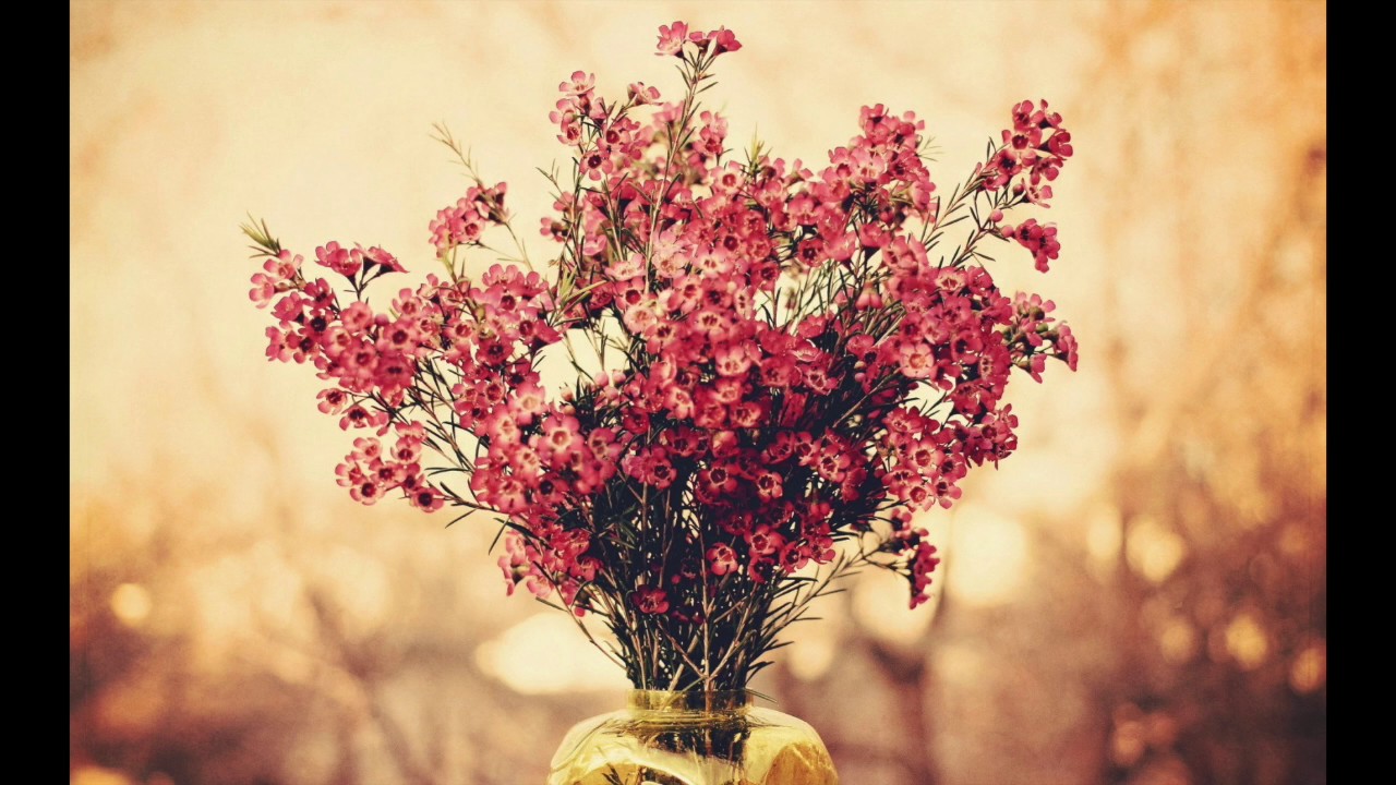 Happy & Joyful Piano Music, Spontaneously Emerging Joy - YouTube