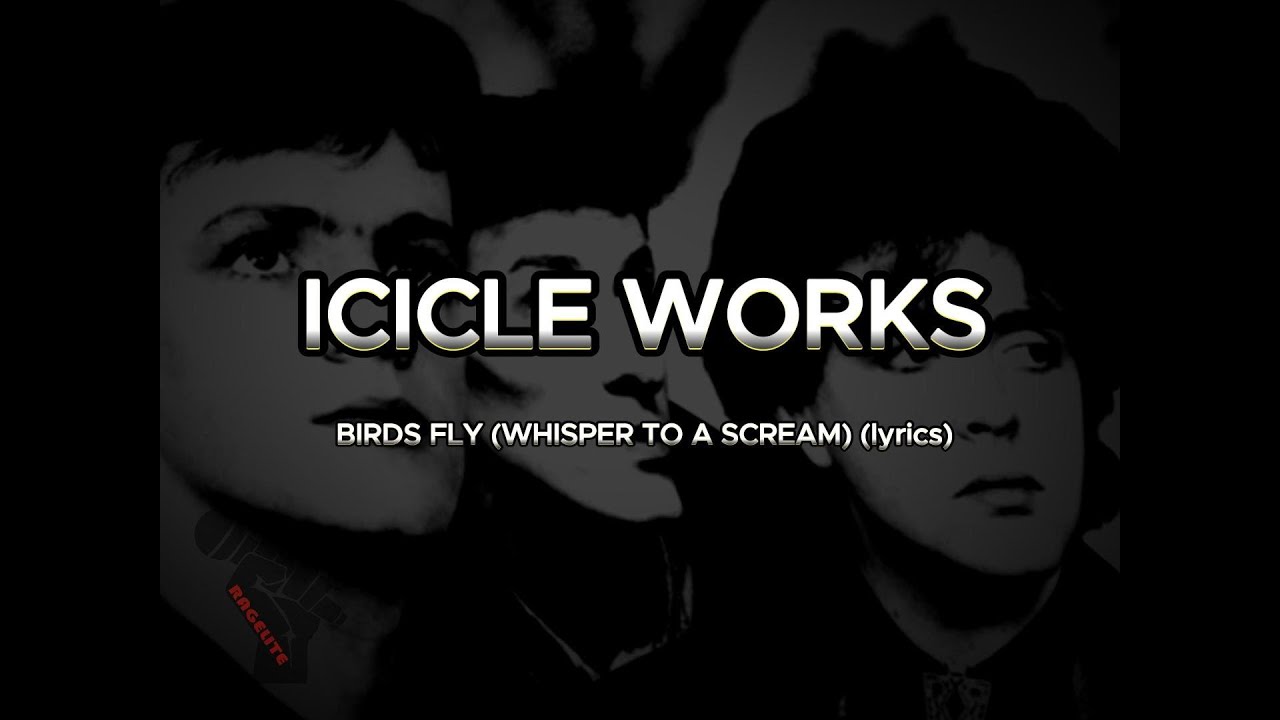 ICICLE WORKS - BIRDS FLY (WHISPER TO A SCREAM) lyrics HD - YouTube