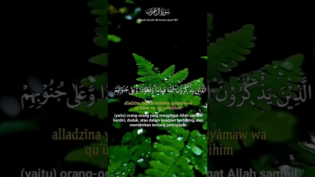Quran Surah Ali Imran Ayat 191 - YouTube