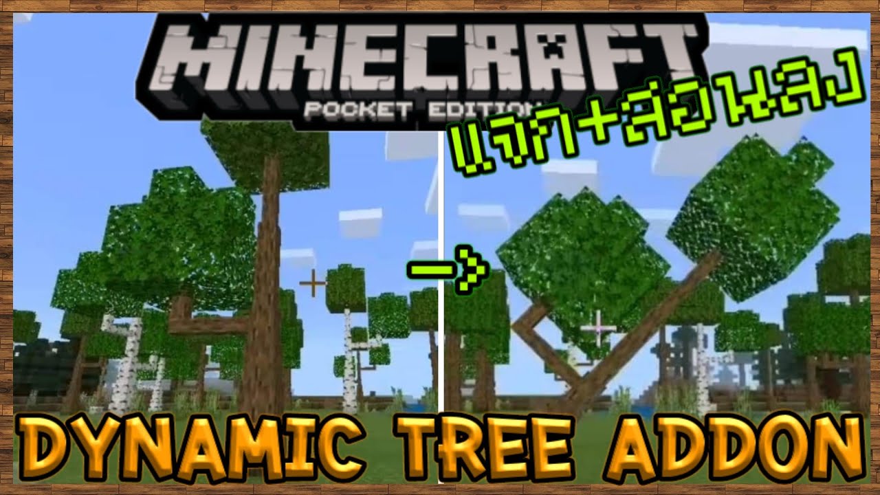 แจก+สอนลง Minecraft PE ต้นไม้สมจริง!!ตัดแล้วโค้น Dynamic Tree Addon ...