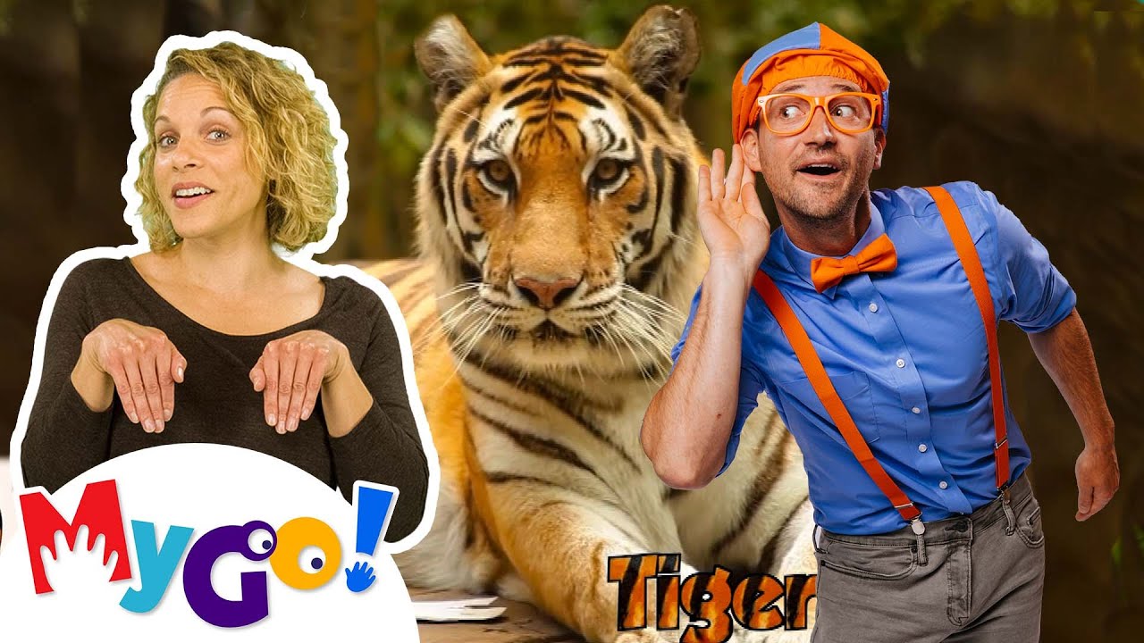 Blippi Meets Zoo Animals - Lion & Elephants | Blippi | MyGo! Sign ...