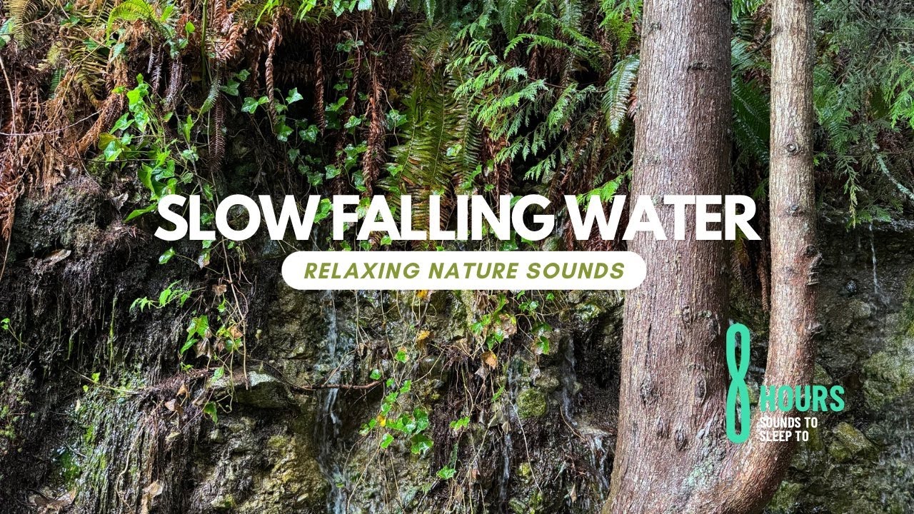 Slow Water | 8 Hours | Relaxation and Sleep - YouTube