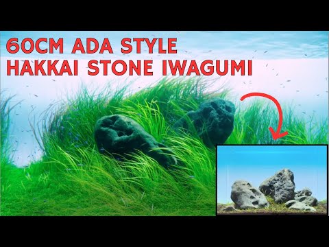 60cm ADA Style Hakkai Stone Iwagumi (Aquascape Tutorial) - YouTube