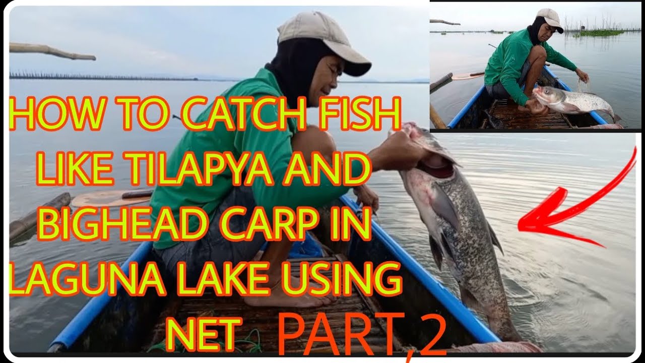 HOW TO CATCH FISH LIKE TILAPYA AND BIGHEAD CARP IN LAGUNA LAKE USING ...