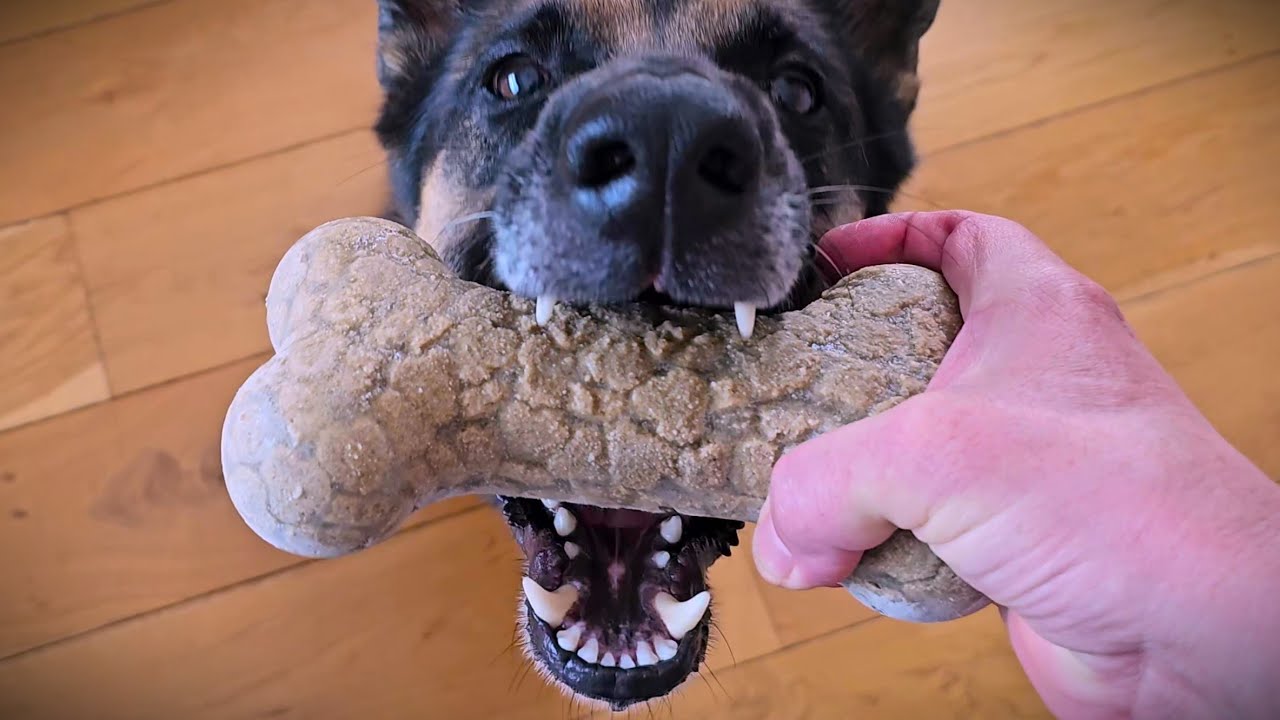 CNC Dog Bone Mould Part2 - YouTube