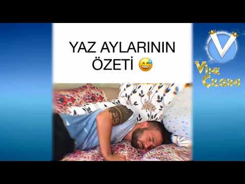 aykut süper vinee