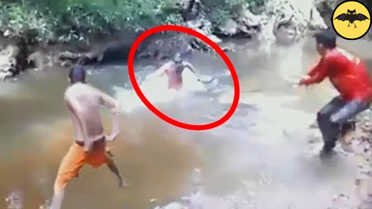 Chilling Monsters of the Amazon River Captured on Camera. - YouTube