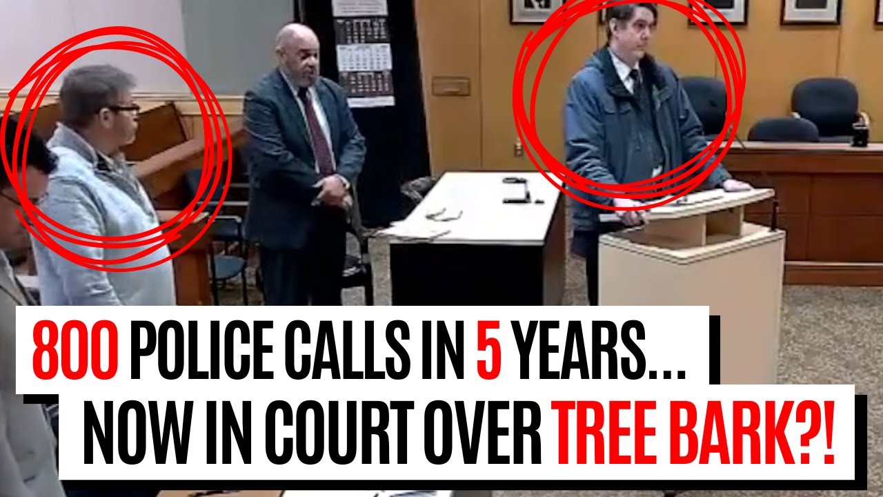 Judge DiSanto SCOLDS Pettiest Neighbors EVER - YouTube