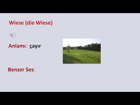 Wiese - die Wiese - Almanca - Da Vinci Metodu - Kelime öğrenme #30