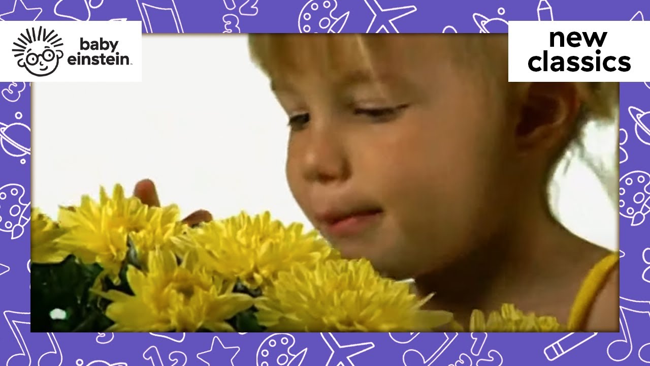My First Signs - Let's Go Outside | New Classics | Baby Einstein ...