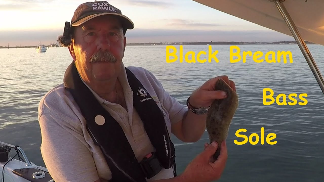 Sole Black Bream & Bass - YouTube