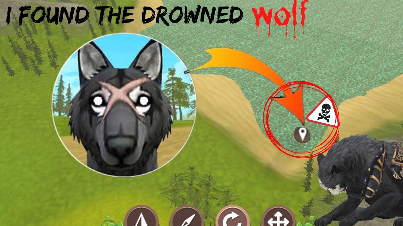 I found the the drowned wolf or really it found me!🐺😱😦 - YouTube