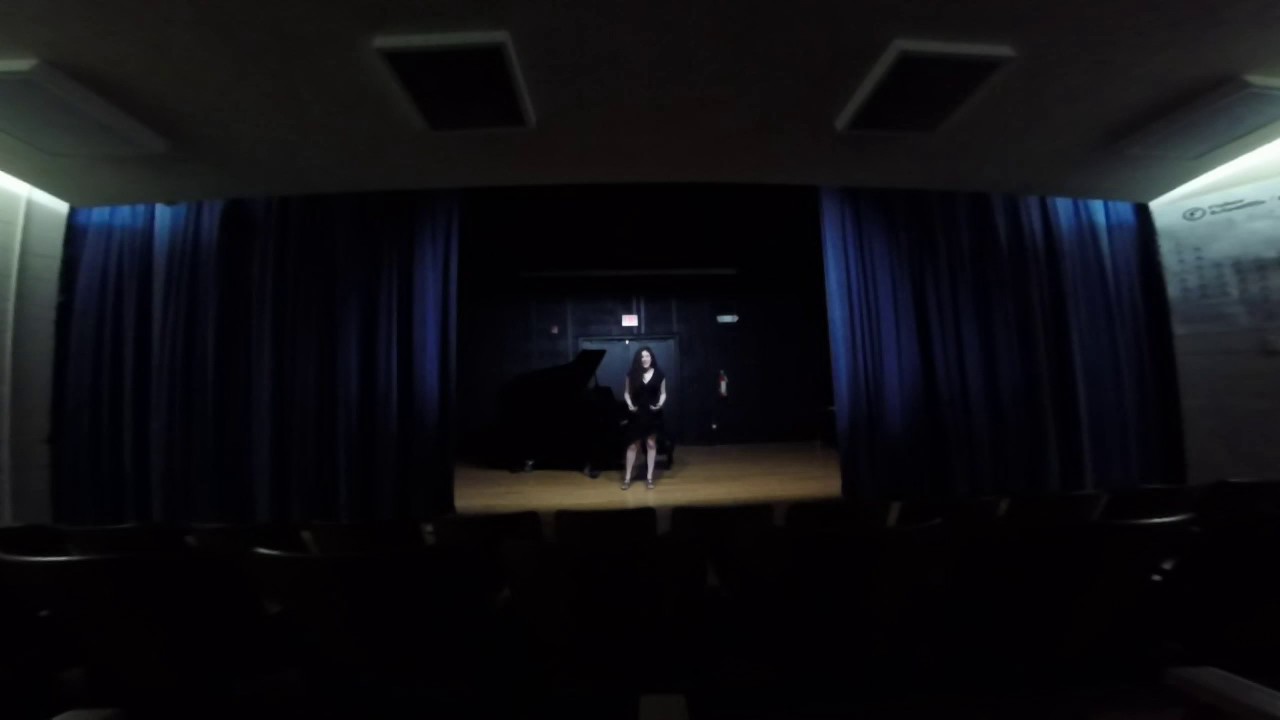 The Coolest Cover of the 2015 DECHS Talent Show - YouTube
