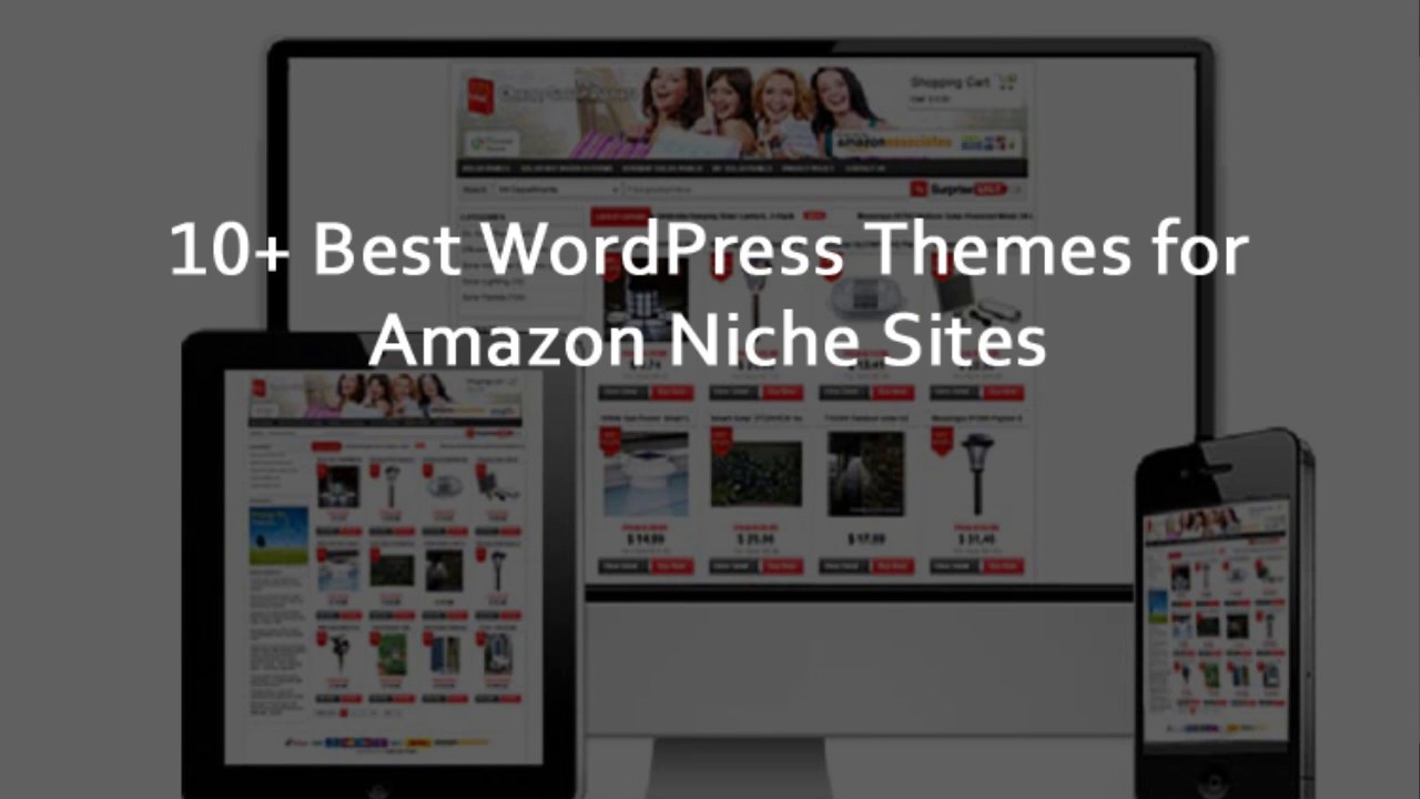 Best WordPress Themes for Amazon Niche Sites - YouTube