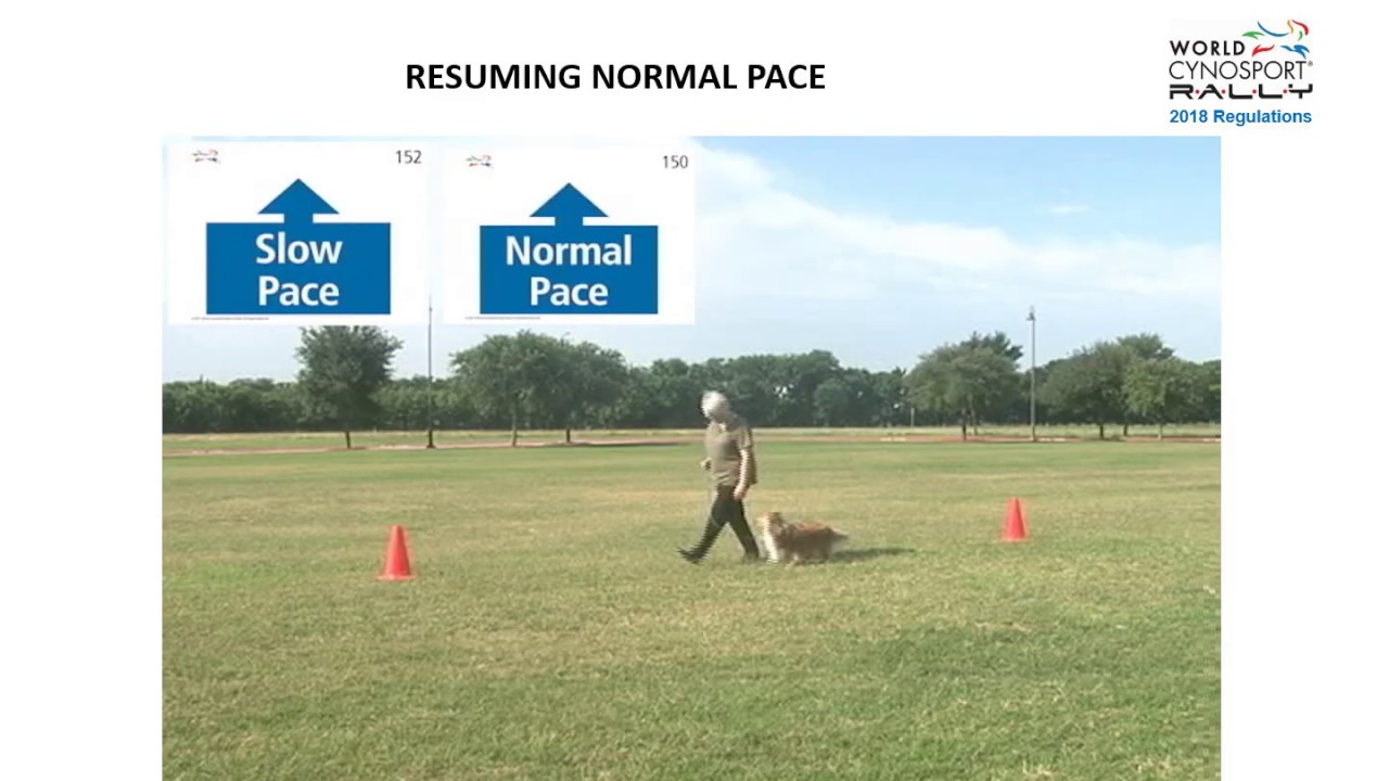 150 Normal Pace, 152 Slow Pace, 154 Fast Pace (with scoring) - YouTube