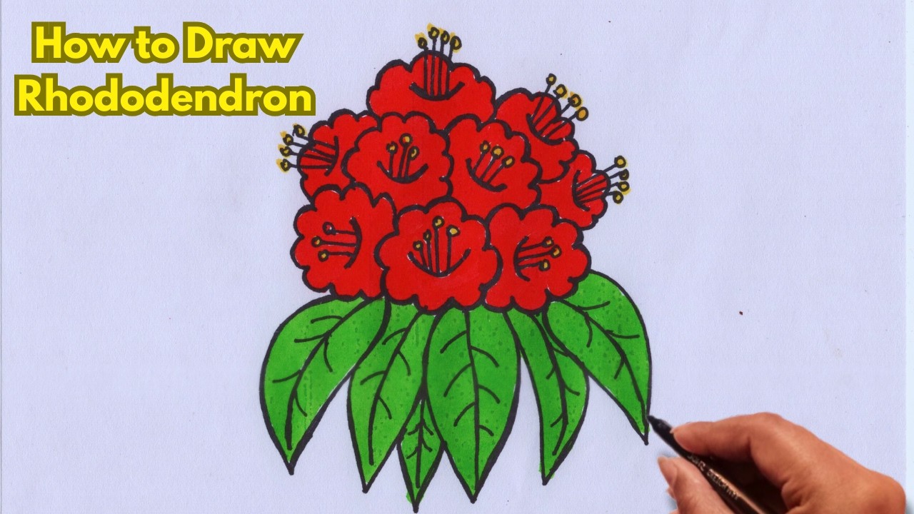 How To Draw Rhododendron Drawing Laliguras national flower🌺 - YouTube
