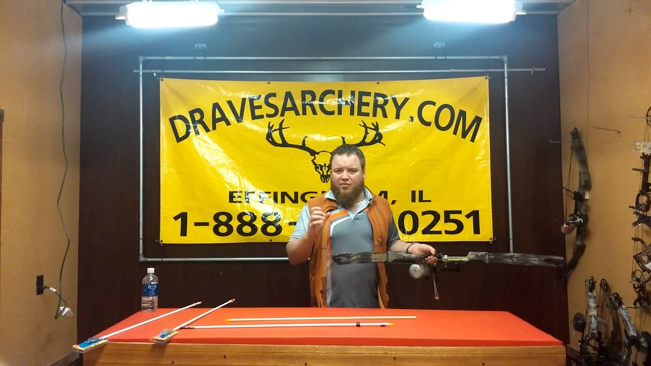 Bear Flare - YouTube