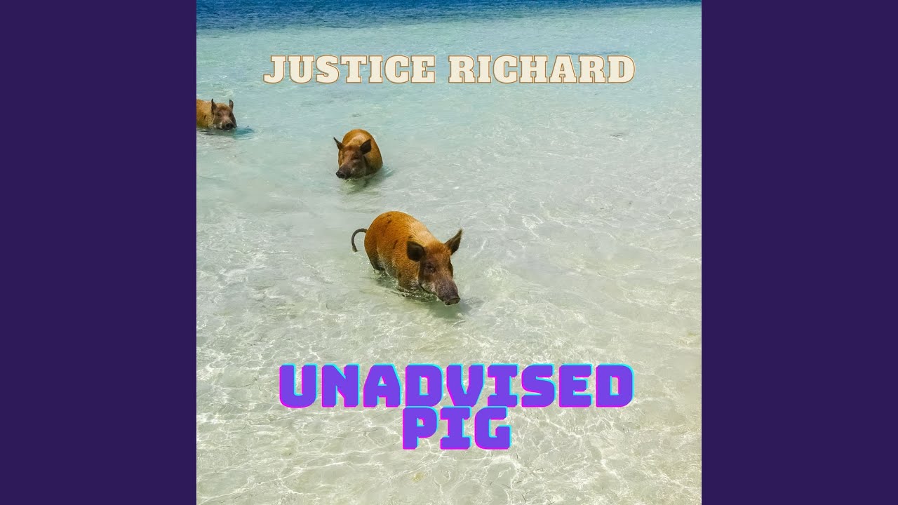Unadvised Pig - YouTube