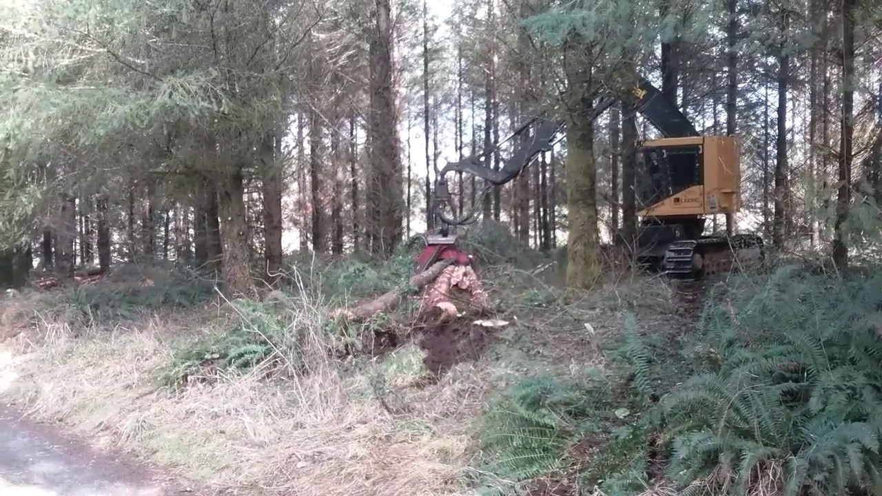 Selective logging (NWTL contractors) sandy Oregon pt.2 - YouTube