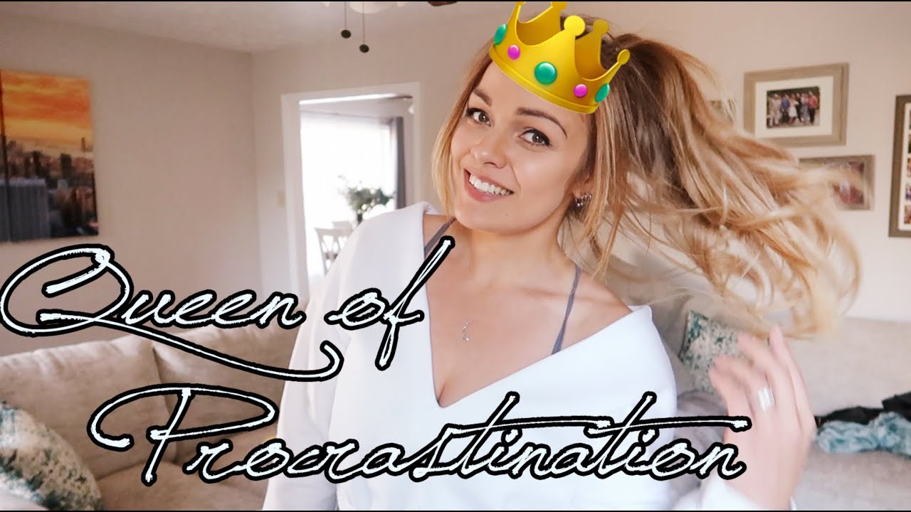 Procrastination Queen | Looking for a Forever Family for the Pitbull ...