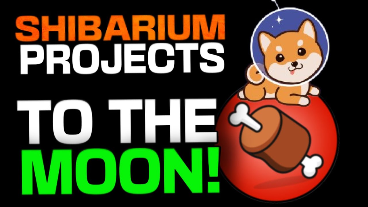 THESE SHIBARIUM PROJECT ARE GOING TO MOON AFTER THE RELEASE!!! - YouTube