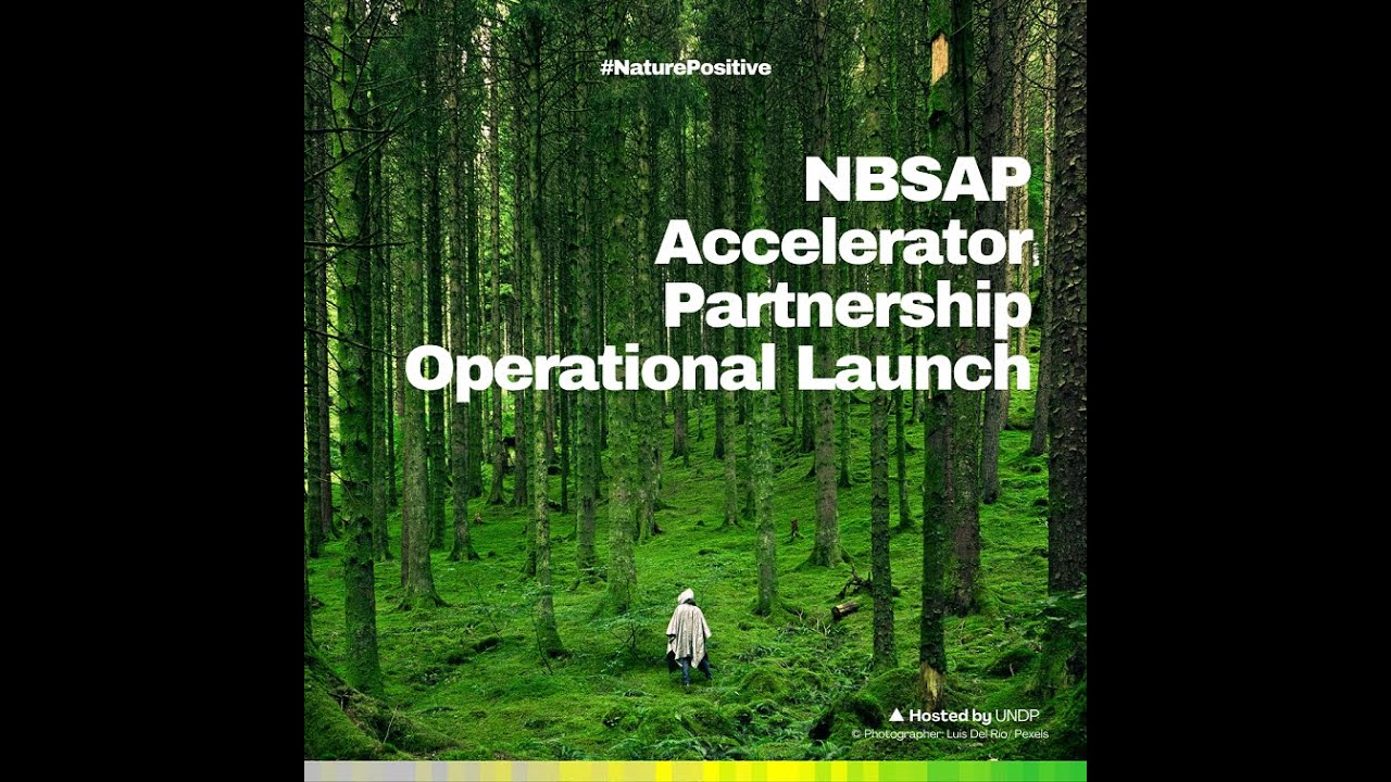 Nature Positive Hub: NBSAP Accelerator Partnership Operational Launch ...