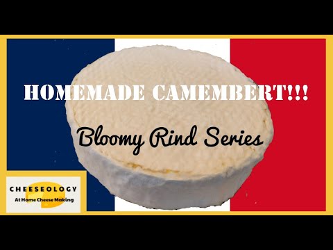Make Homemade Camembert! - YouTube