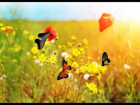 peplebi - YouTube