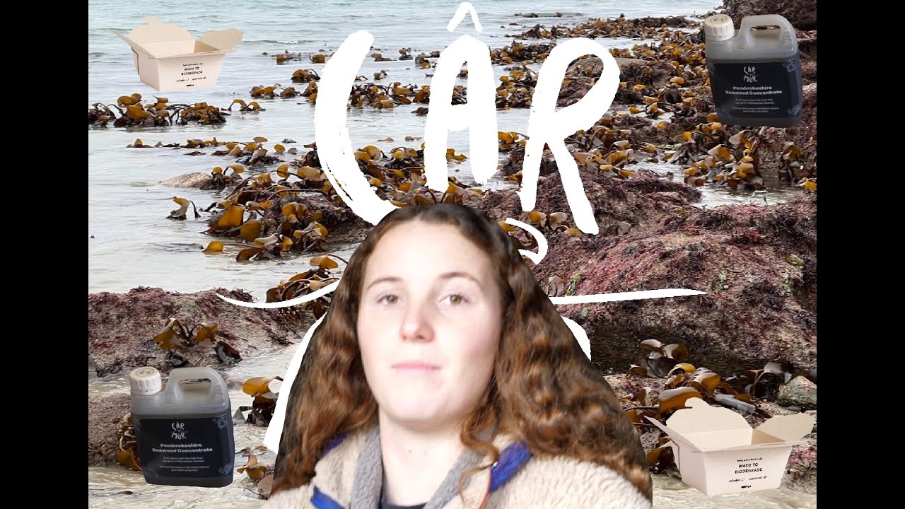 Câr y Môr part one Ella - YouTube