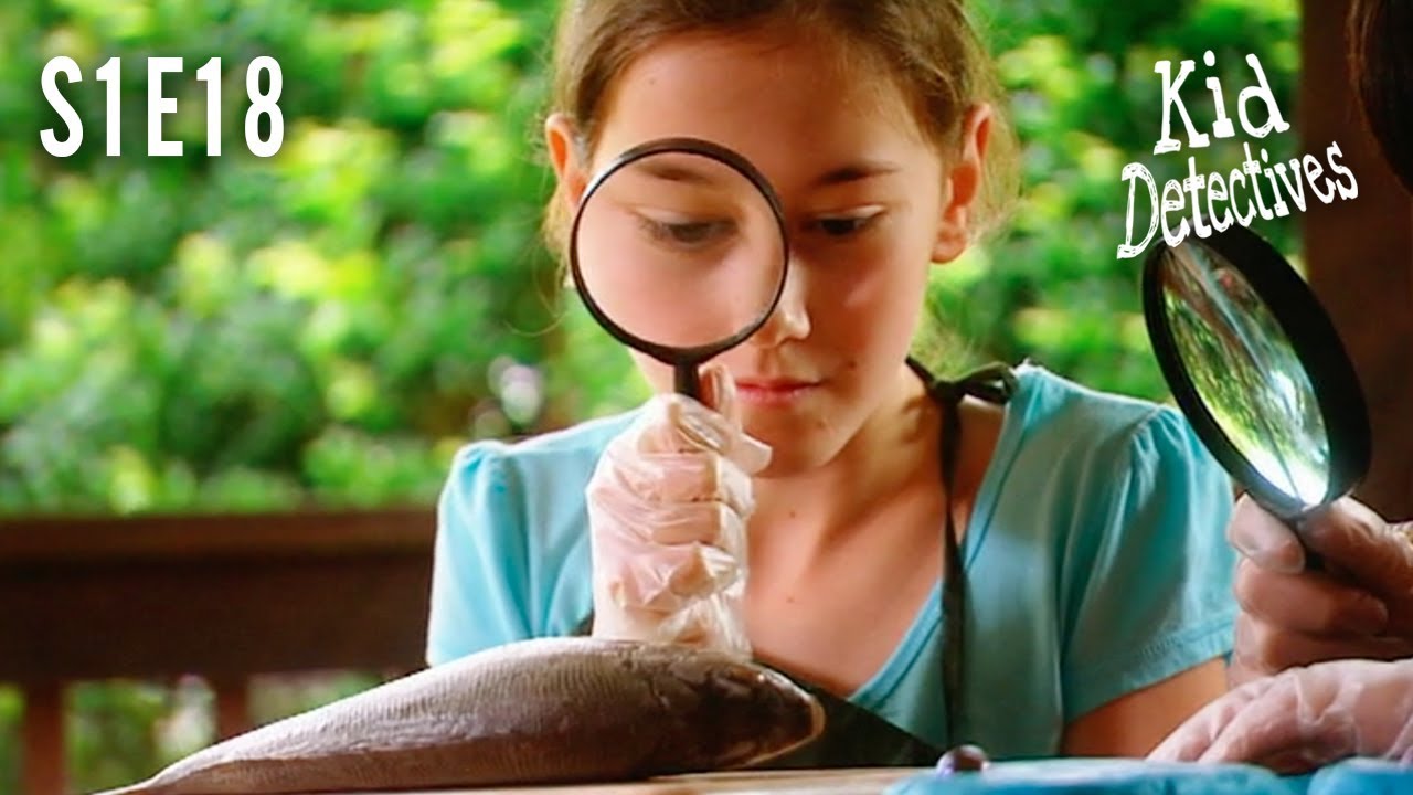 Kid Detectives | S1E18 | Fish Out of Water - YouTube