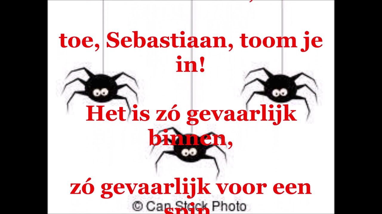 Annie M.G. Schmidt - De spin Sebastiaan - YouTube