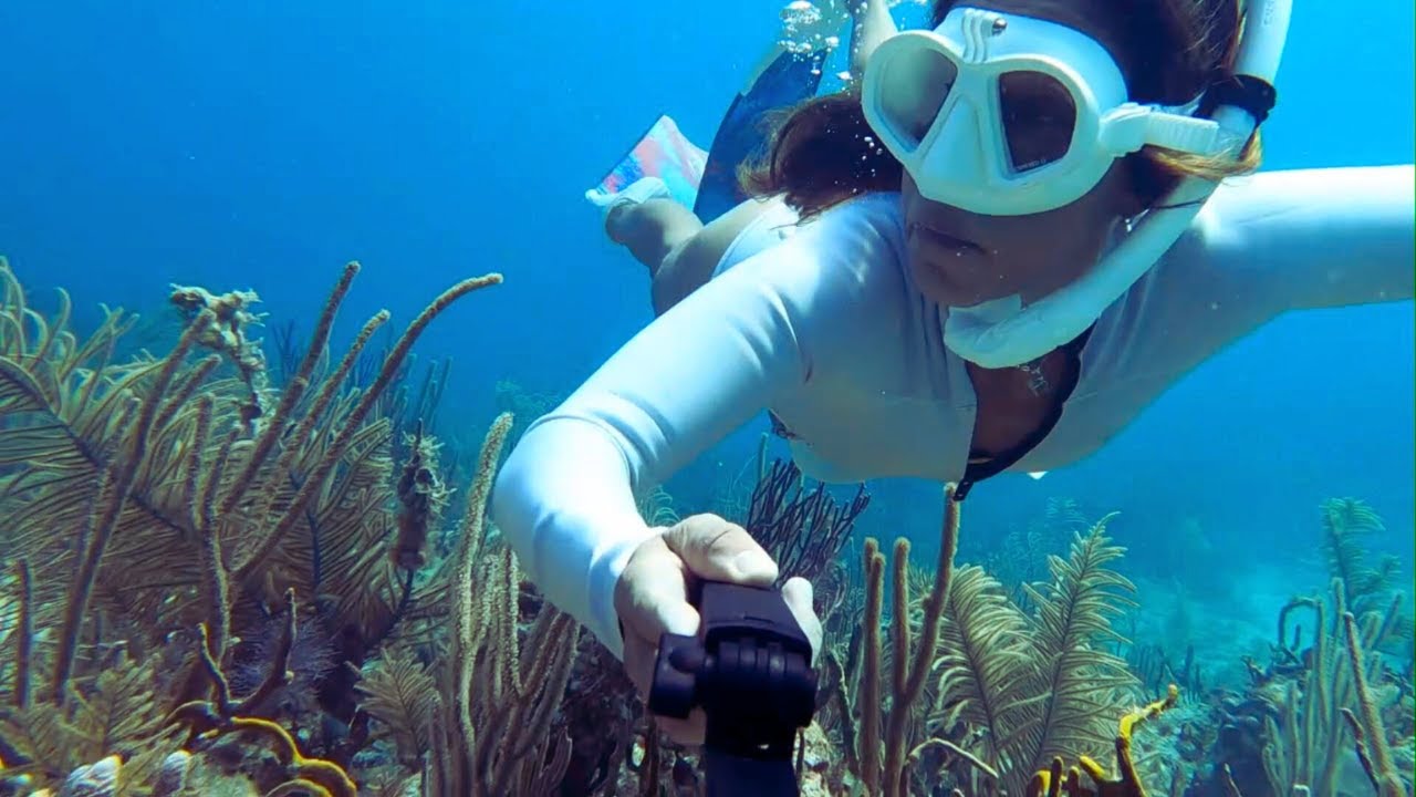 Swimming Underwater 💦 Multiple Dives Diving Explained 🤿 - YouTube