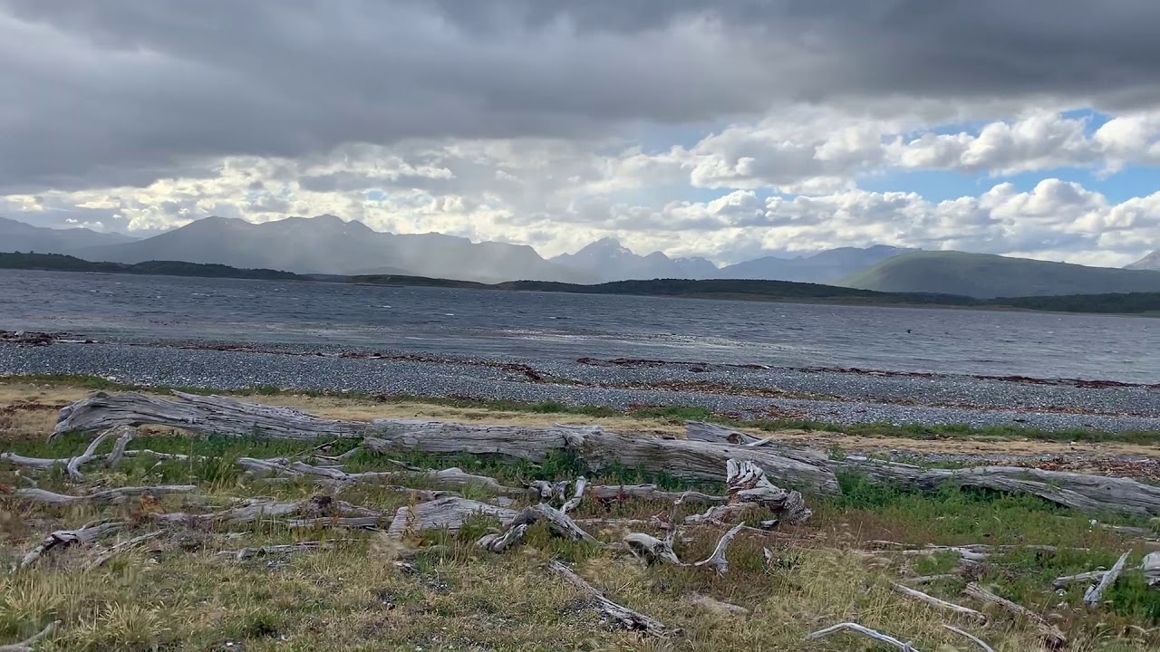 Isla Martillo en Argentina - YouTube