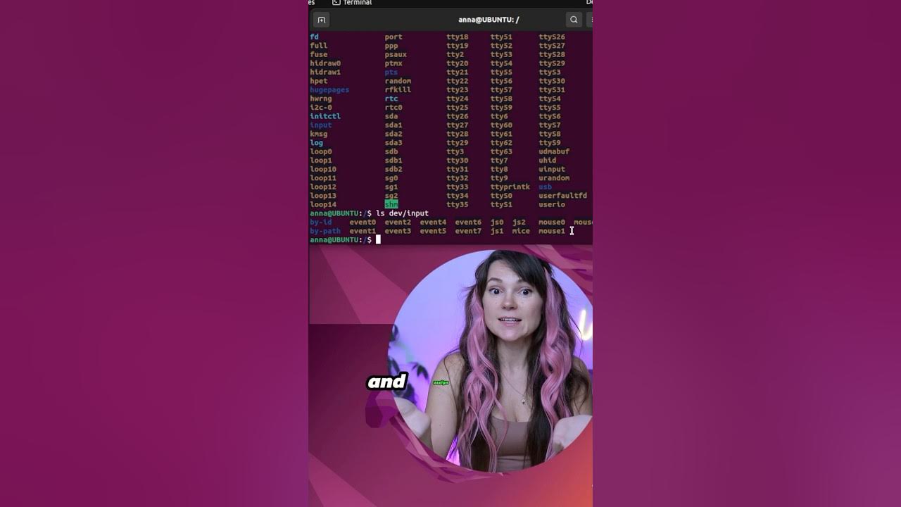 Learn Linux Dev Folder Vs Device Manager Linuxsystem Computerfiles Linuxfan Coding
