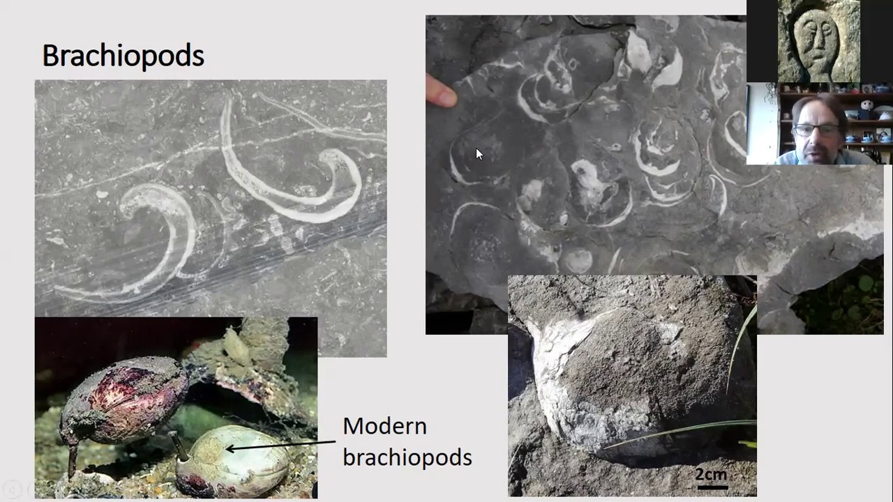 Geology in the Burren: Webinar with Colin Bunce - YouTube