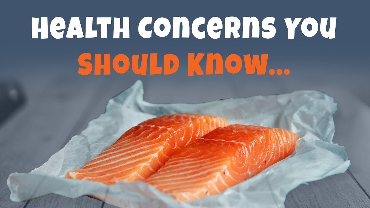 Wild vs. Farmed Salmon: What’s Best for Your Plate? - YouTube